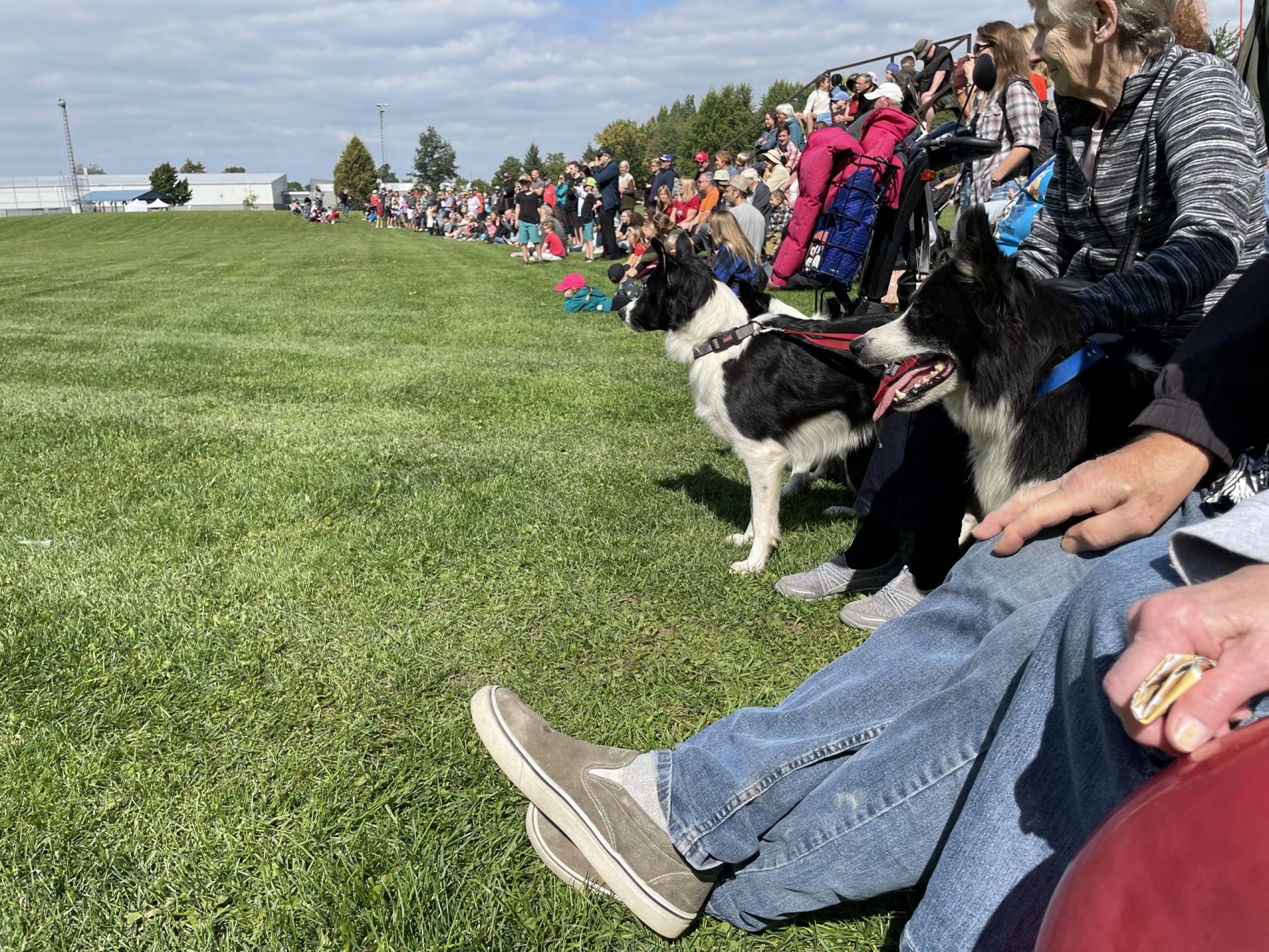 Festivals & Events - Lake Belwood Real Estate